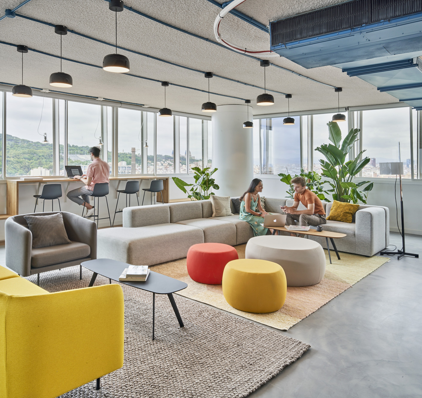 FLEX TORRE COLÓN - DRASSANES 6